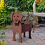 Chocolate Labrador Planter – Petforhouse.com
