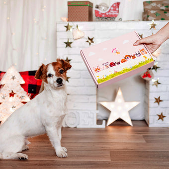 Chocolate Labrador Planter – Petforhouse.com